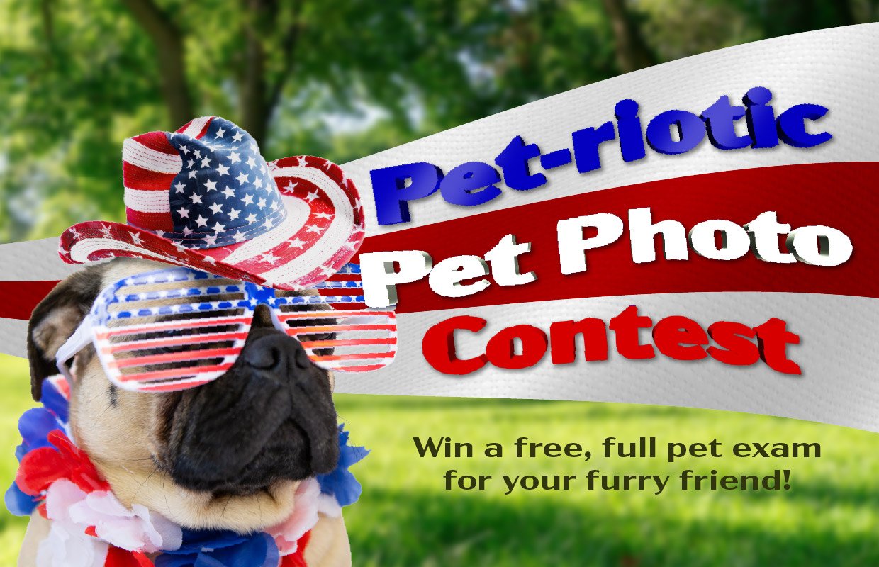 Celebrate the 4th of July and America’s 250th anniversary with our “Pet ...